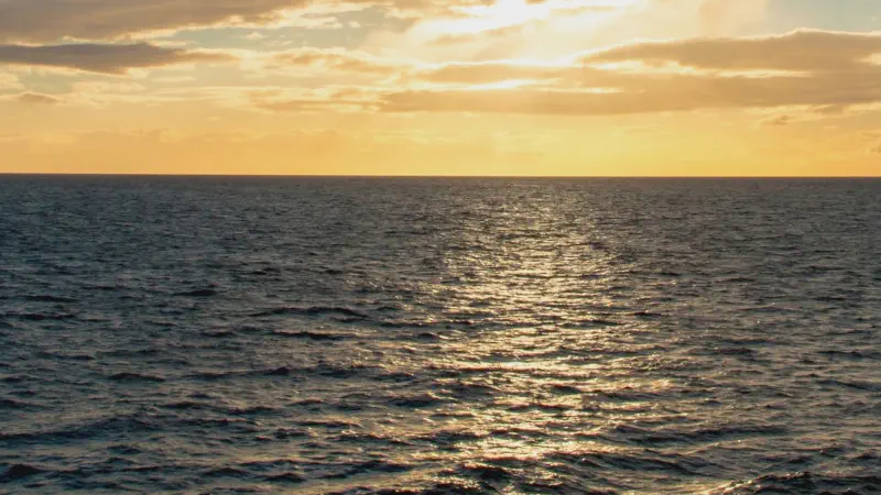 Hugo Bootstrap Skeleton